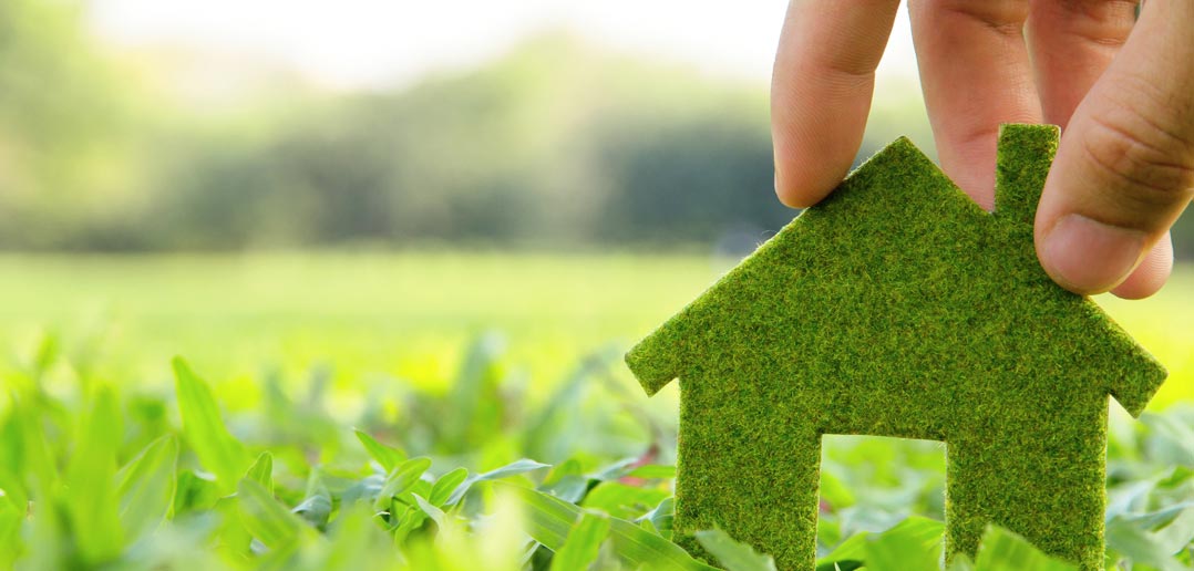 ECO | un trend sau un stil de viata? - Bers Cleaning